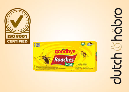 Our Products – Dutch & Habro